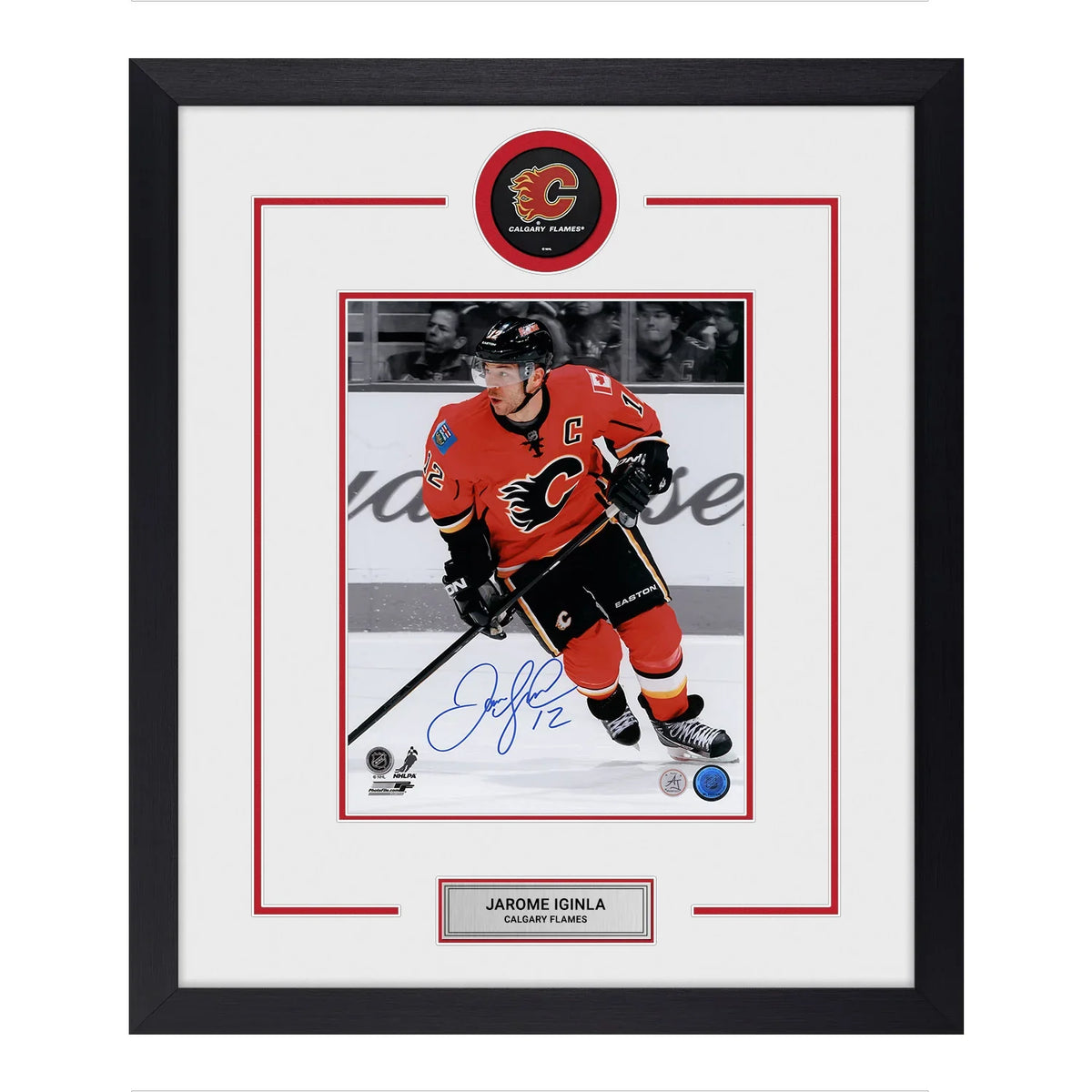 Autograph Display Frames – AJ Sports