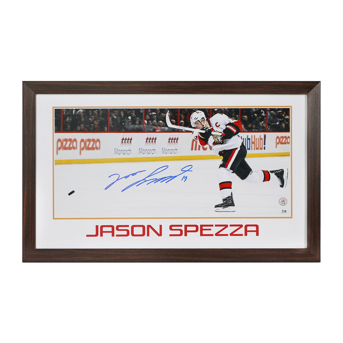AJ Sports | Jason Spezza Ottawa Senators Prominent Signature 16x26 ...